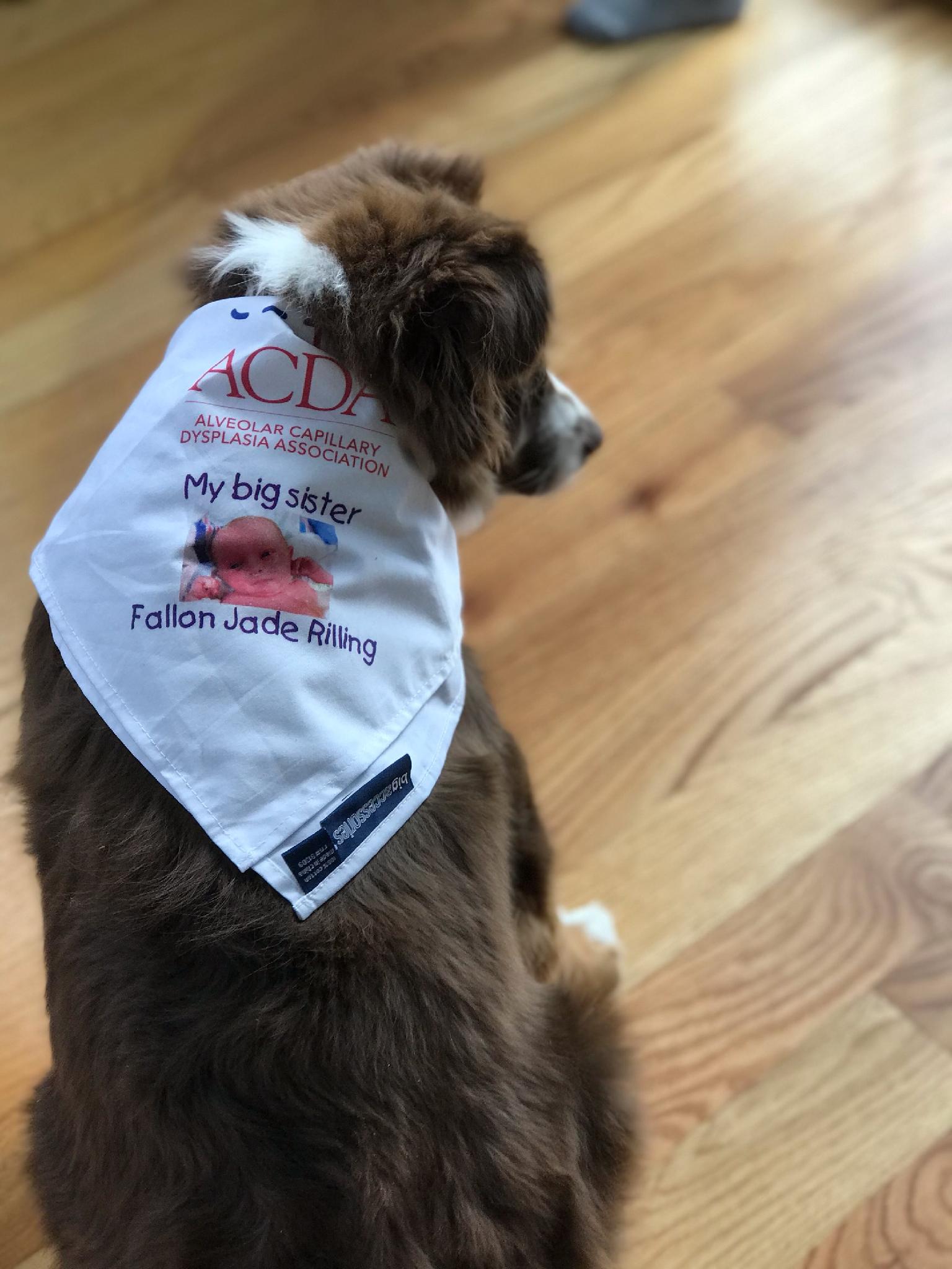 Rare Disease Day: February 29, 2020 | ACD Association